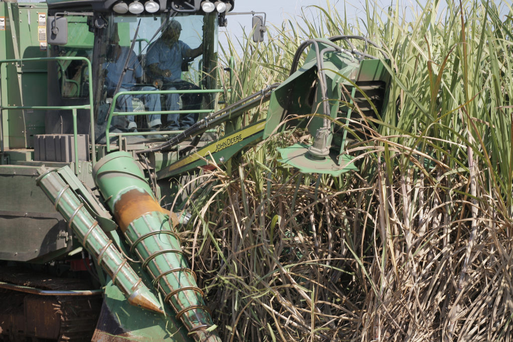 Sugarcane harvest for the second half of July 2020 - SugarCane